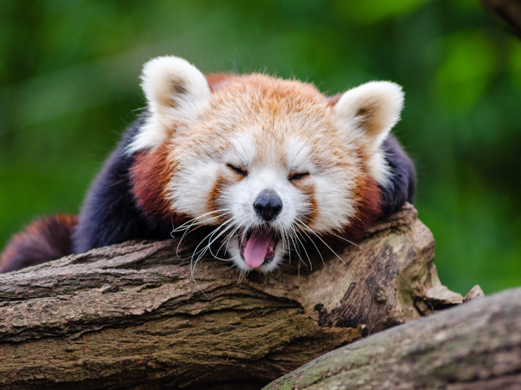 Ohm Center – Ohm offers Sound Baths, Sound Healing, Acupuncture ...