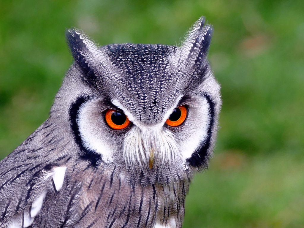 Ohm Center – Ohm offers Sound Baths, Sound Healing, Acupuncture ...