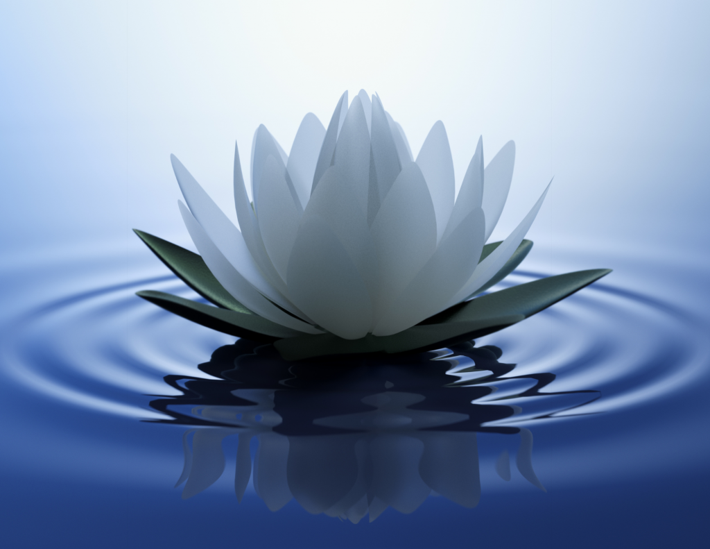 Classes - OHM Center